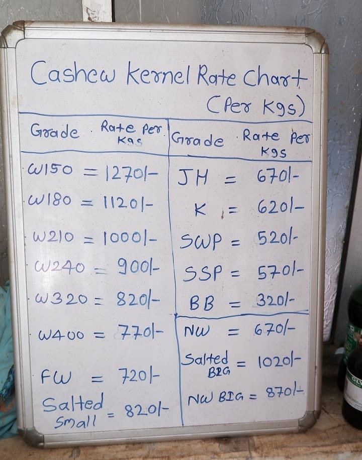 Cashew Kernels Price Per KG | Cashew Nut & Cashew Kernel Prices 2023