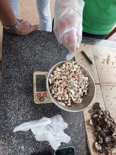 Cashew Processing Unit | Ultra Modern Cashew Processing Plant ...